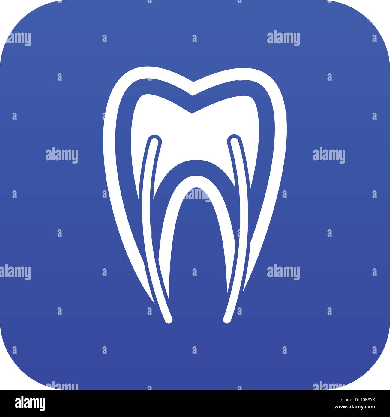 Zahnmedizin anatomie querschnitt Stock-Vektorgrafiken kaufen - Alamy