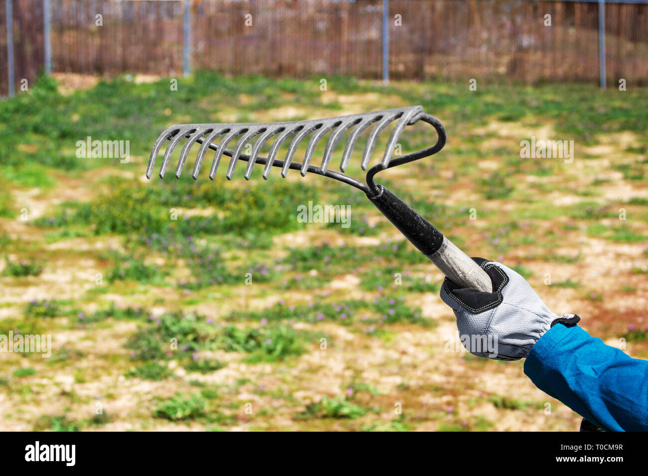 Rechen mit gesicht -Fotos und -Bildmaterial in hoher Auflösung – Alamy