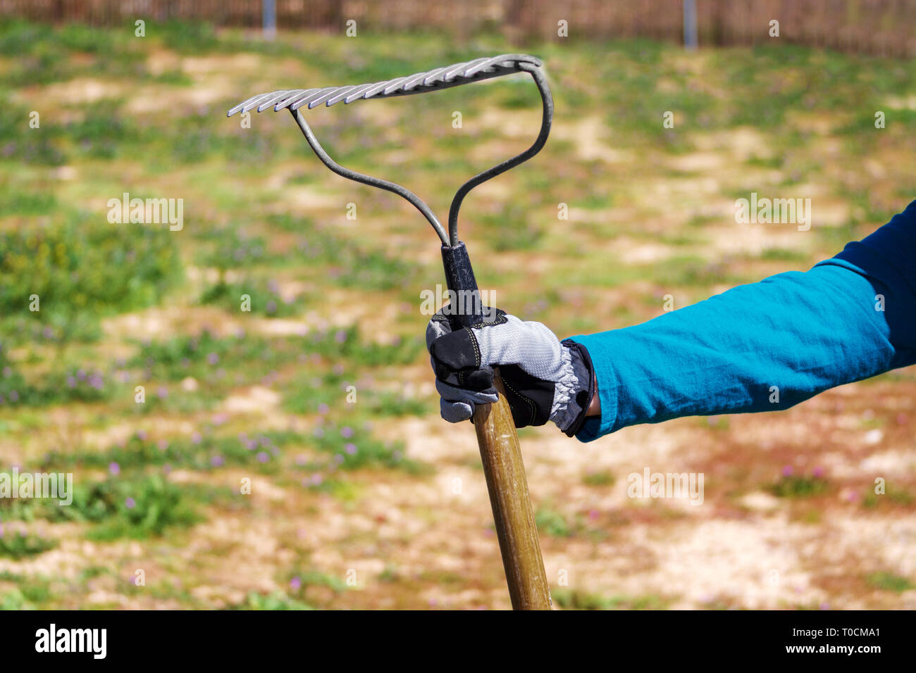 Rechen mit gesicht -Fotos und -Bildmaterial in hoher Auflösung – Alamy