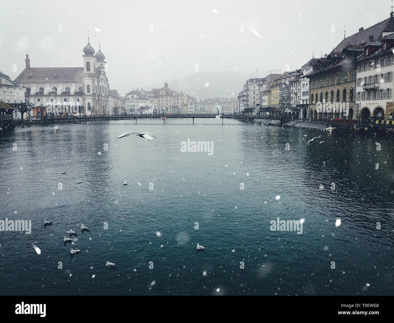 Lucerne winter -Fotos und -Bildmaterial in hoher Auflösung – Alamy