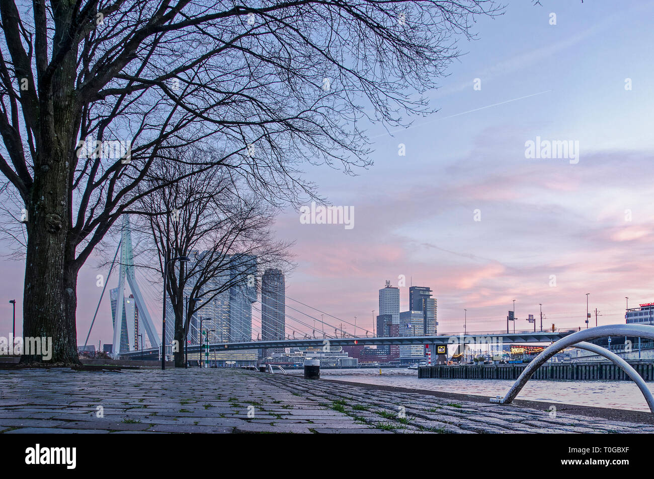 Erasmus park -Fotos und -Bildmaterial in hoher Auflösung – Alamy
