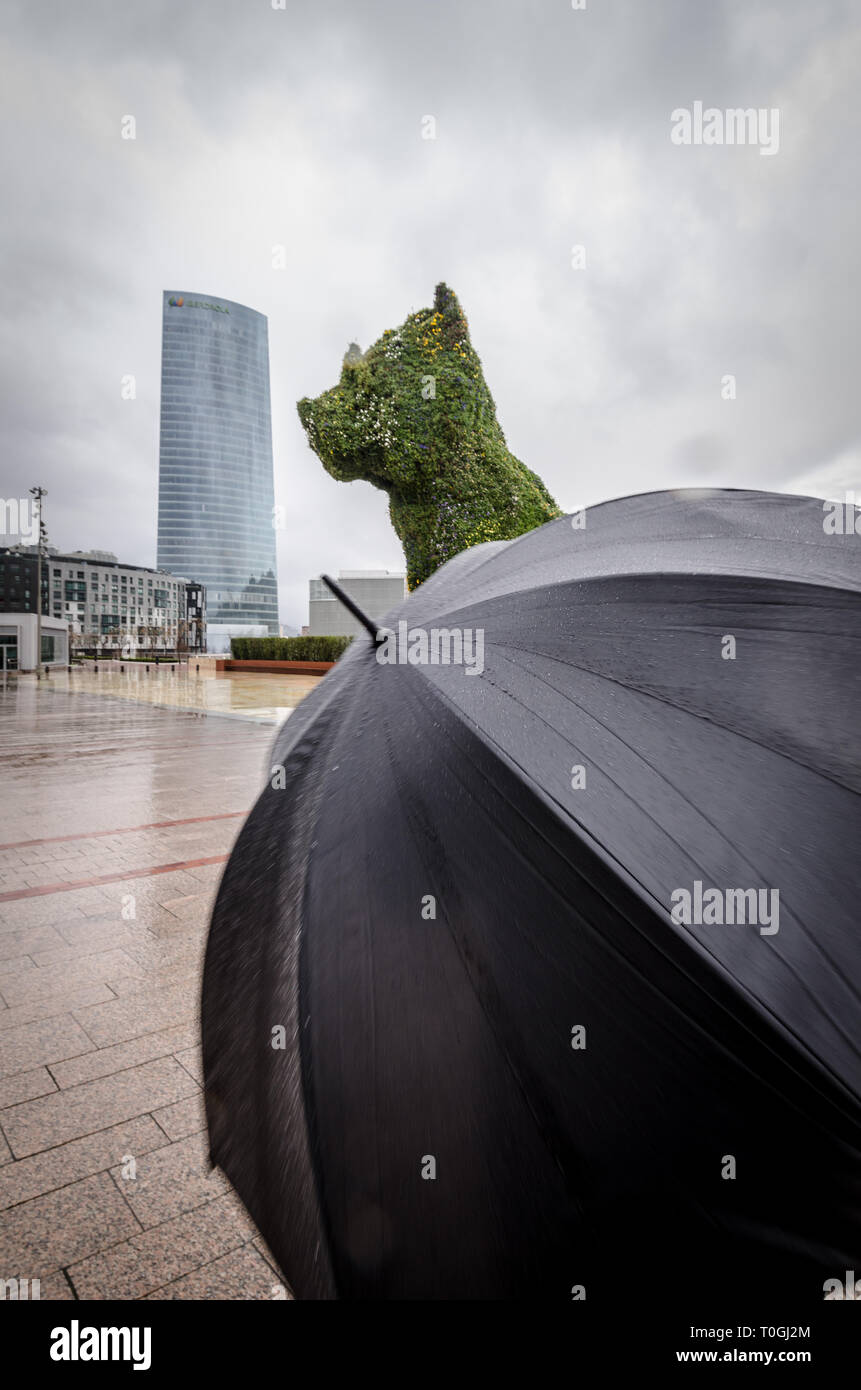 Jeff koons hund -Fotos und -Bildmaterial in hoher Auflösung – Alamy