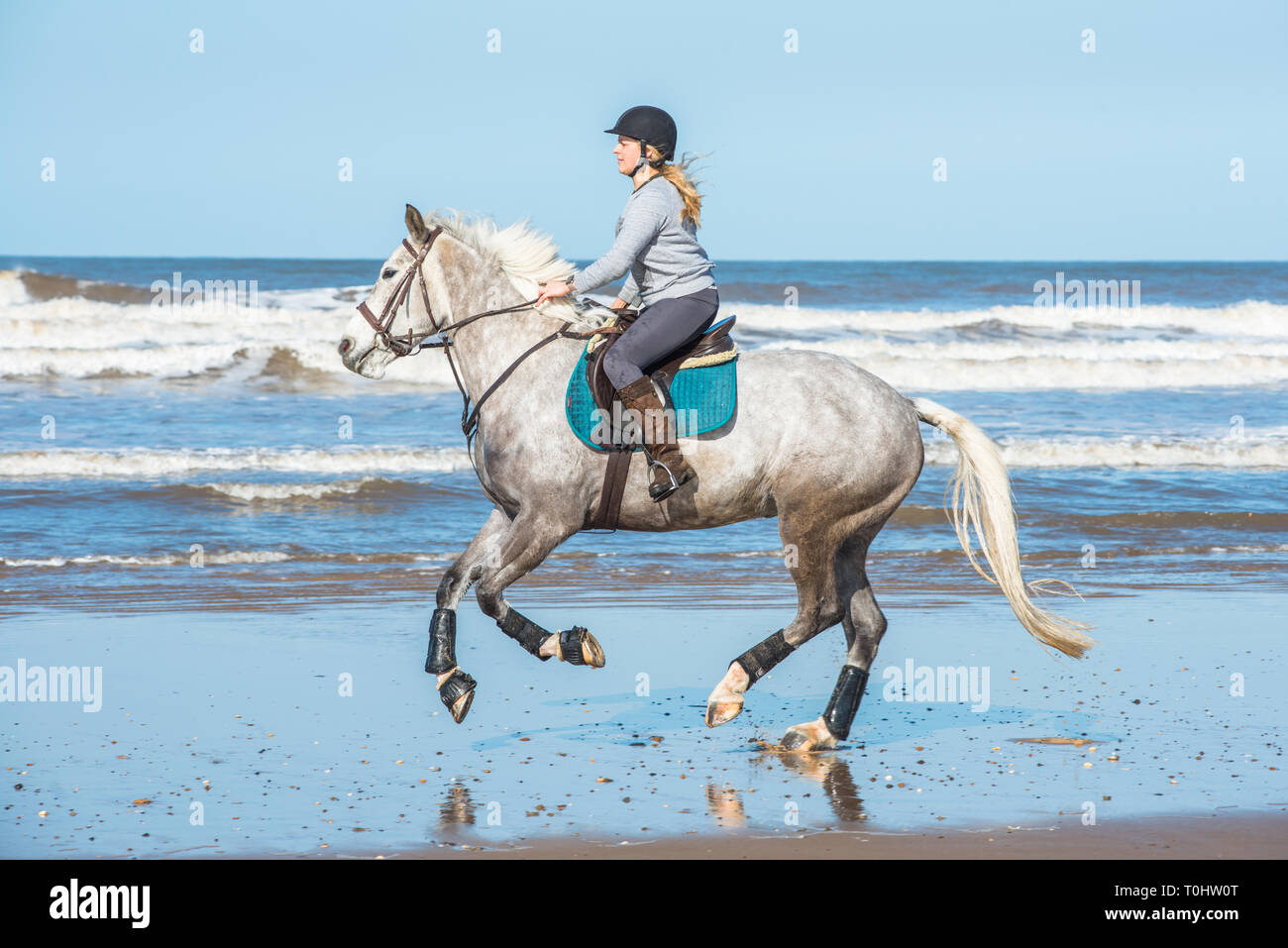 Galoppierendes pferd am strand -Fotos und -Bildmaterial in hoher ...
