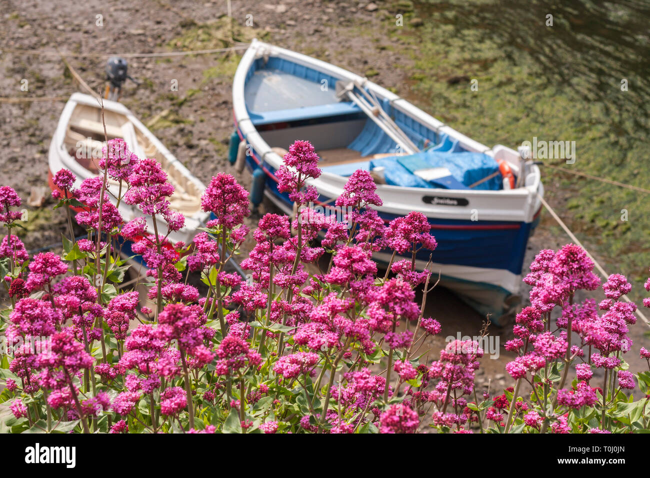 Zwei kleine boote -Fotos und -Bildmaterial in hoher Auflösung – Alamy