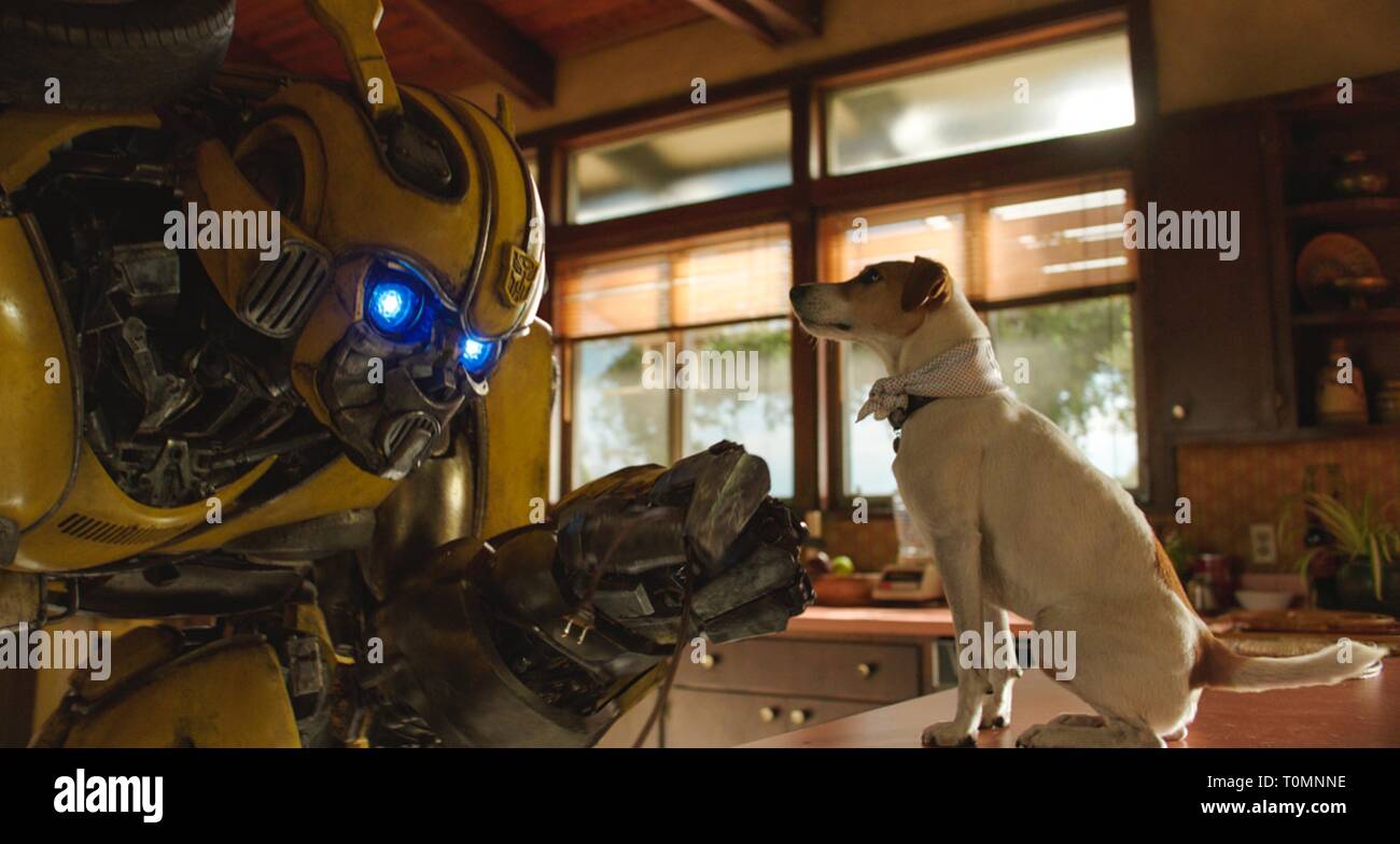 Travis ritter -Fotos und -Bildmaterial in hoher Auflösung – Alamy