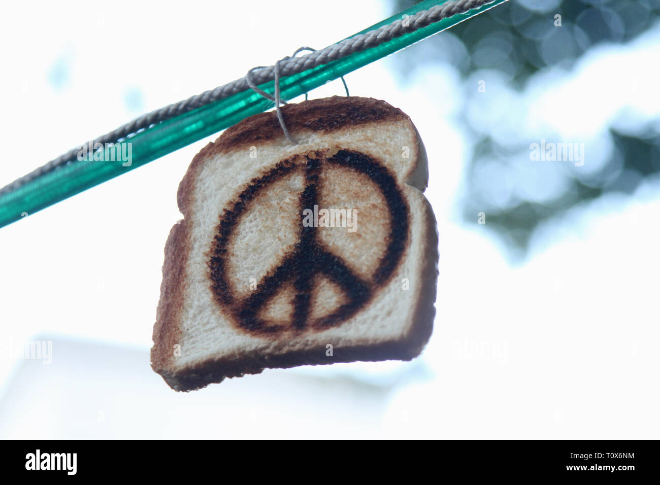 Ein friedenszeichen -Fotos und -Bildmaterial in hoher Auflösung – Alamy