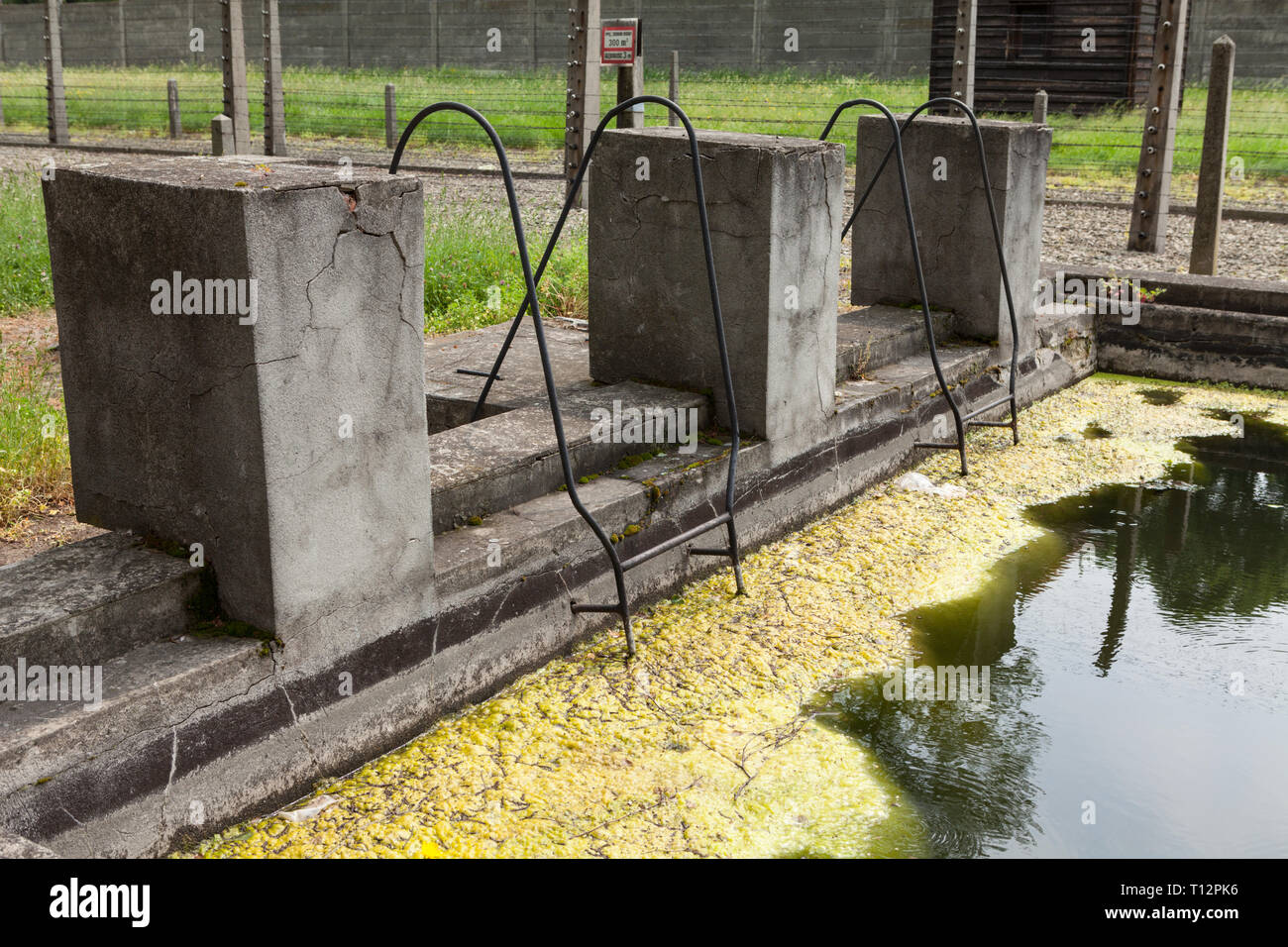 Als gefangener im kz auschwitz -Fotos und -Bildmaterial in hoher ...