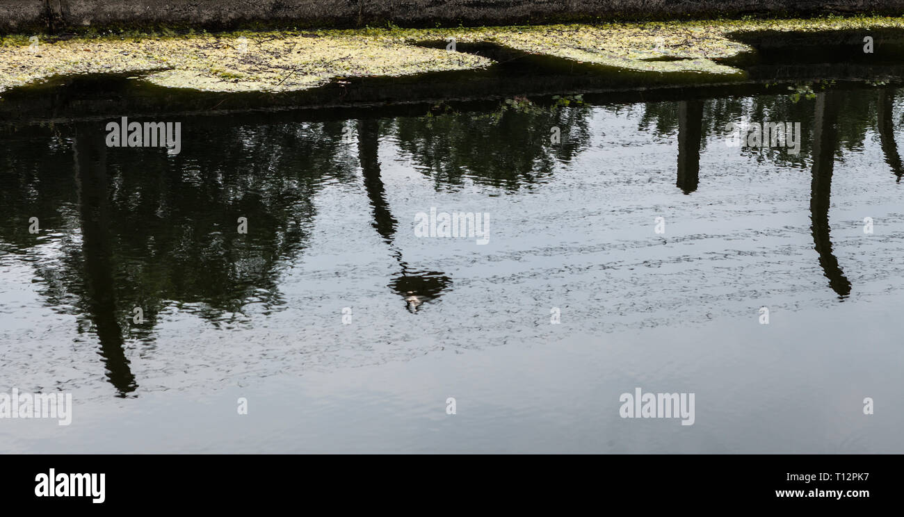 Auschwitz concentration camp -Fotos und -Bildmaterial in hoher ...