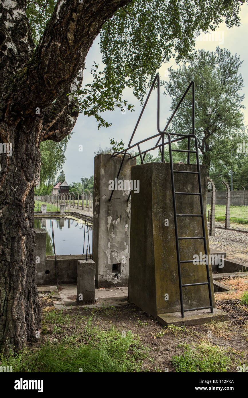 Als gefangener im kz auschwitz -Fotos und -Bildmaterial in hoher ...