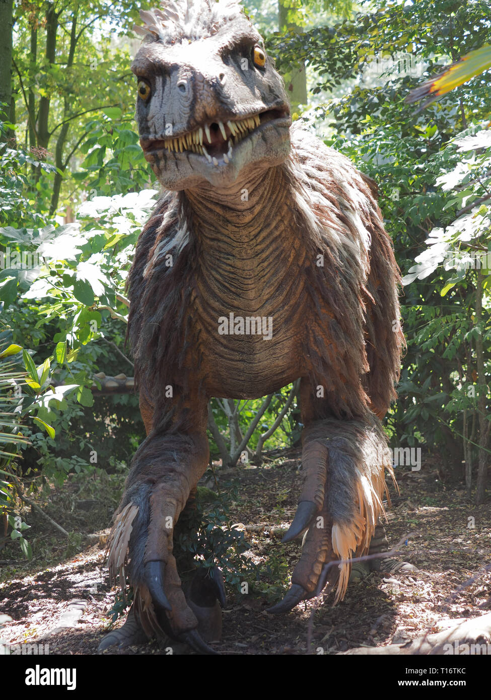 Utahraptor cretaceous -Fotos und -Bildmaterial in hoher Auflösung – Alamy