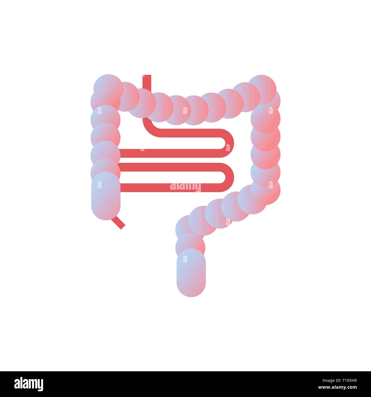 Menschliche Verdauungssystem internen Organ symbol Darm Darm Gesundheit ...