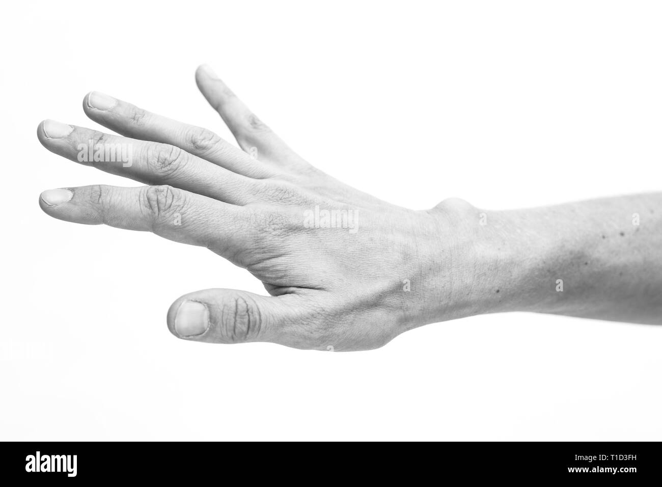 Hand arm anatomie -Fotos und -Bildmaterial in hoher Auflösung – Alamy