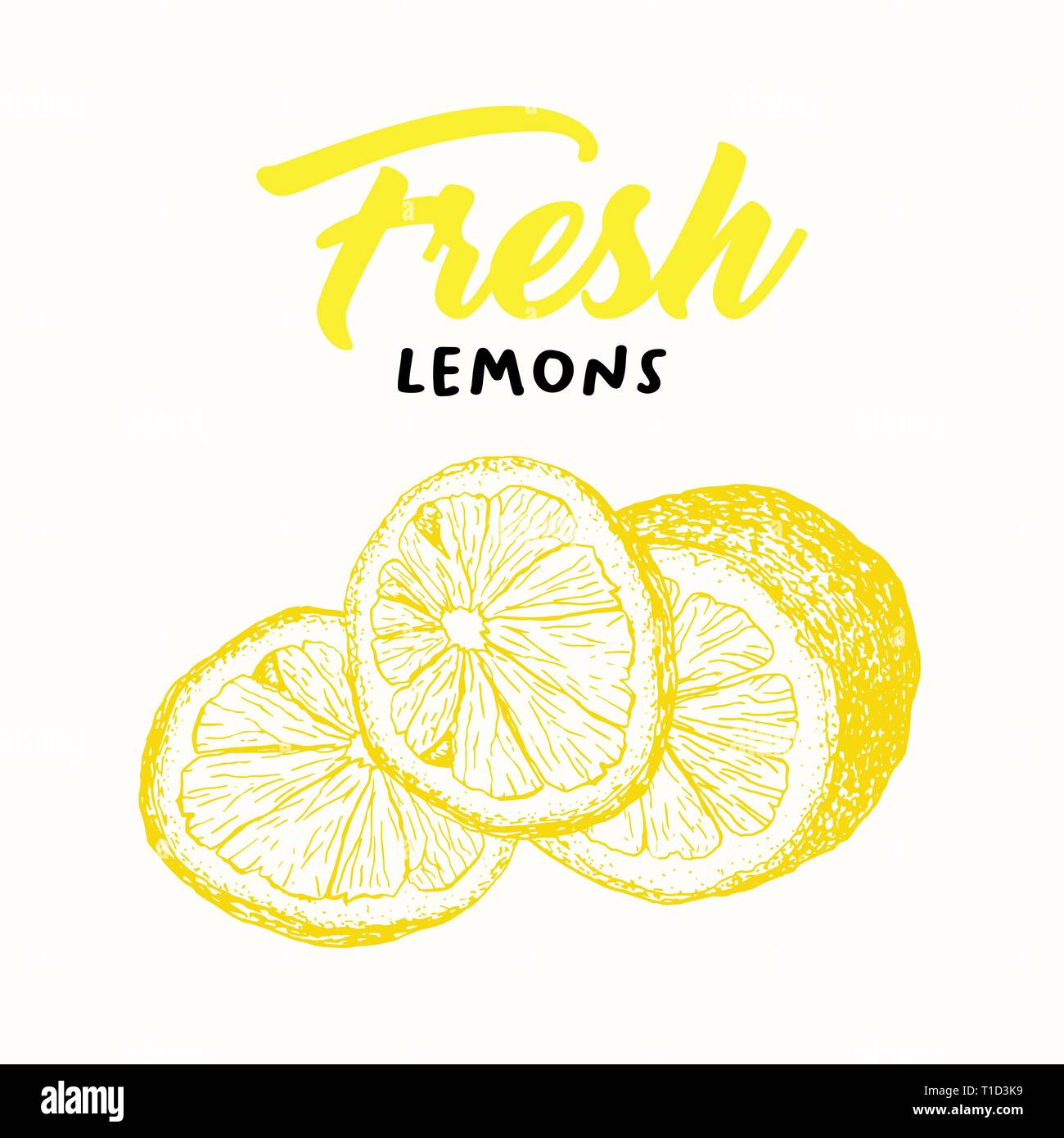 Fruit drawing sketch clipart -Fotos und -Bildmaterial in hoher ...