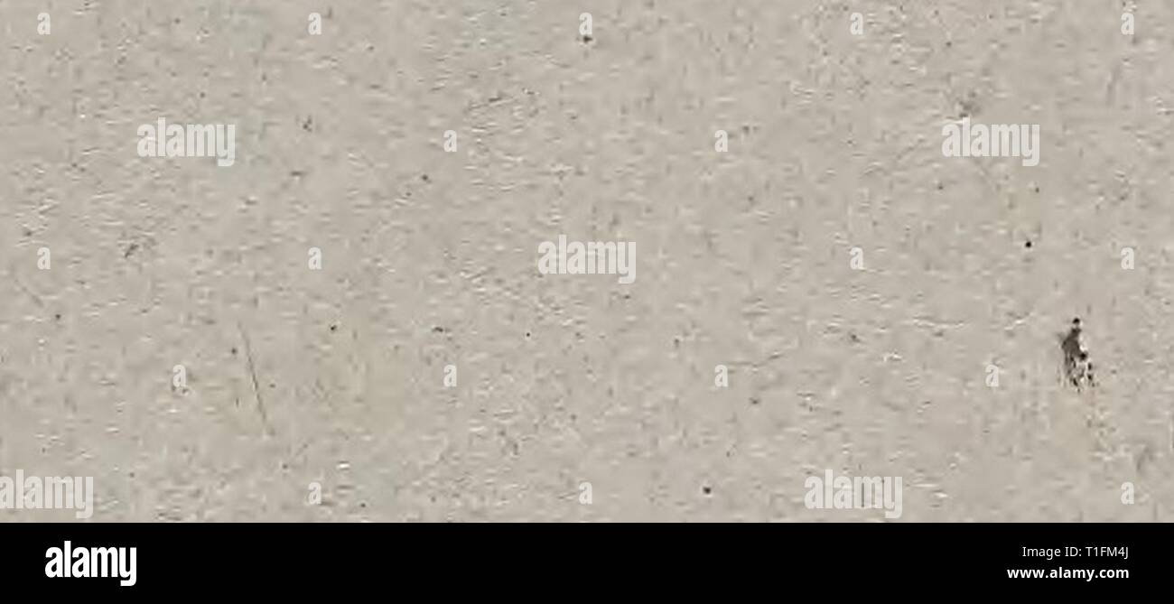 Dokumente scientifiques de la Mission Dokumente scientifiques de la ...