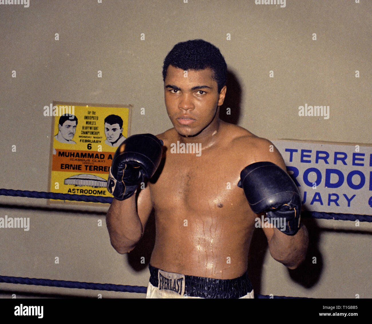 Boxer Cassius Marcellus Clay Jr. alias Muhammad Ali, ca. 1967 Datei ...