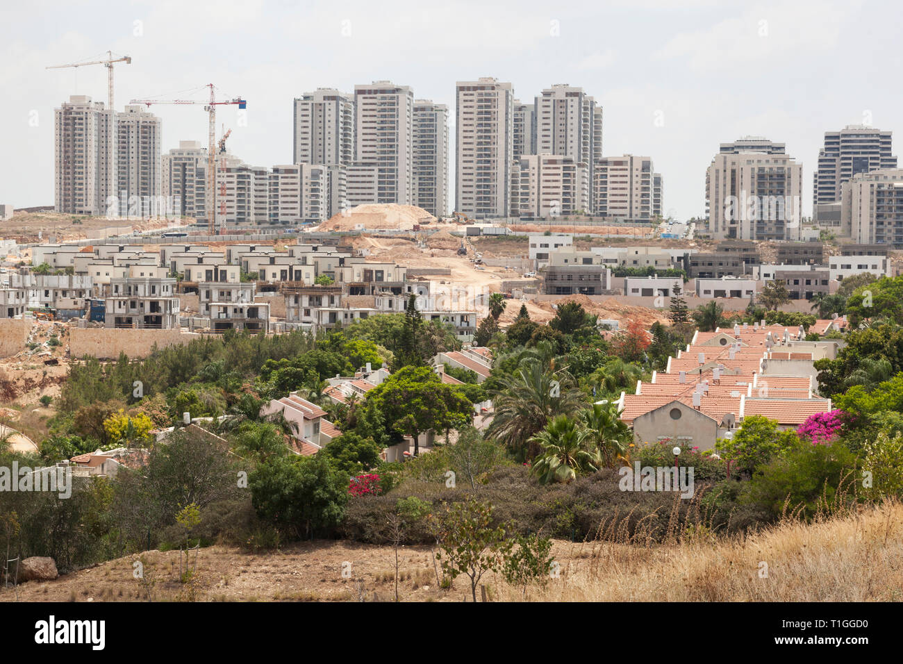 Rosch haajin -Fotos und -Bildmaterial in hoher Auflösung – Alamy
