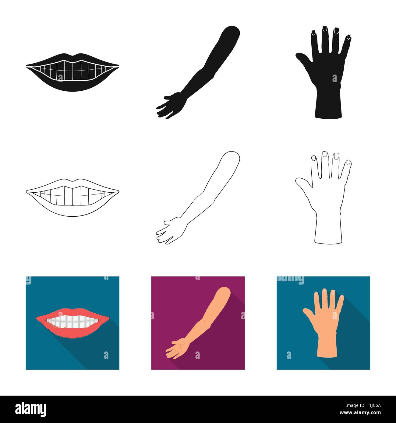 Isoliertes Objekt von Körper und Symbol. Satz von Körper und Anatomie ...