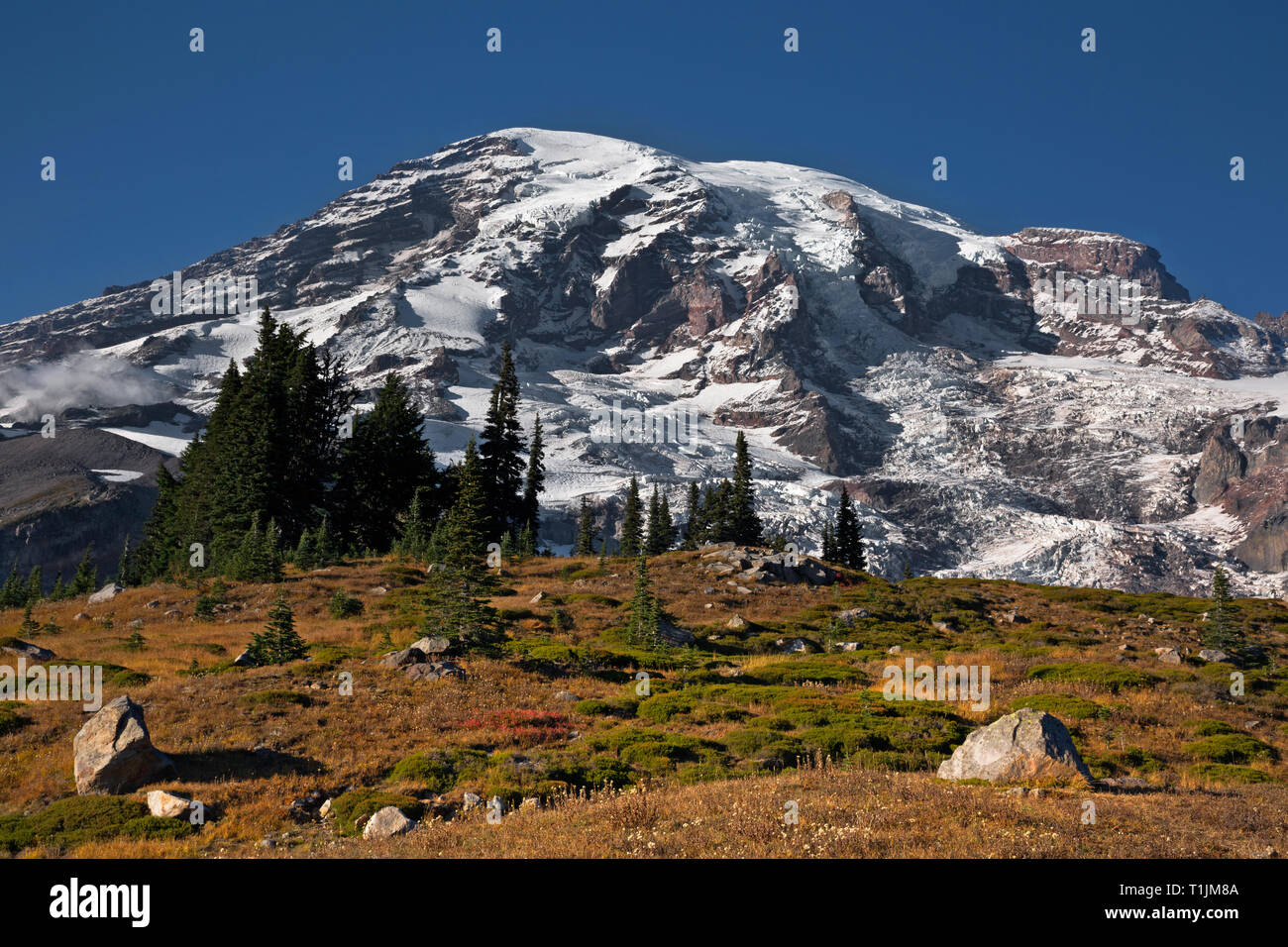 Dead horse creek trail -Fotos und -Bildmaterial in hoher Auflösung – Alamy