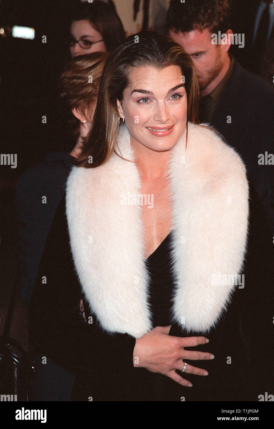 Chris odonnell renee zellweger -Fotos und -Bildmaterial in hoher ...