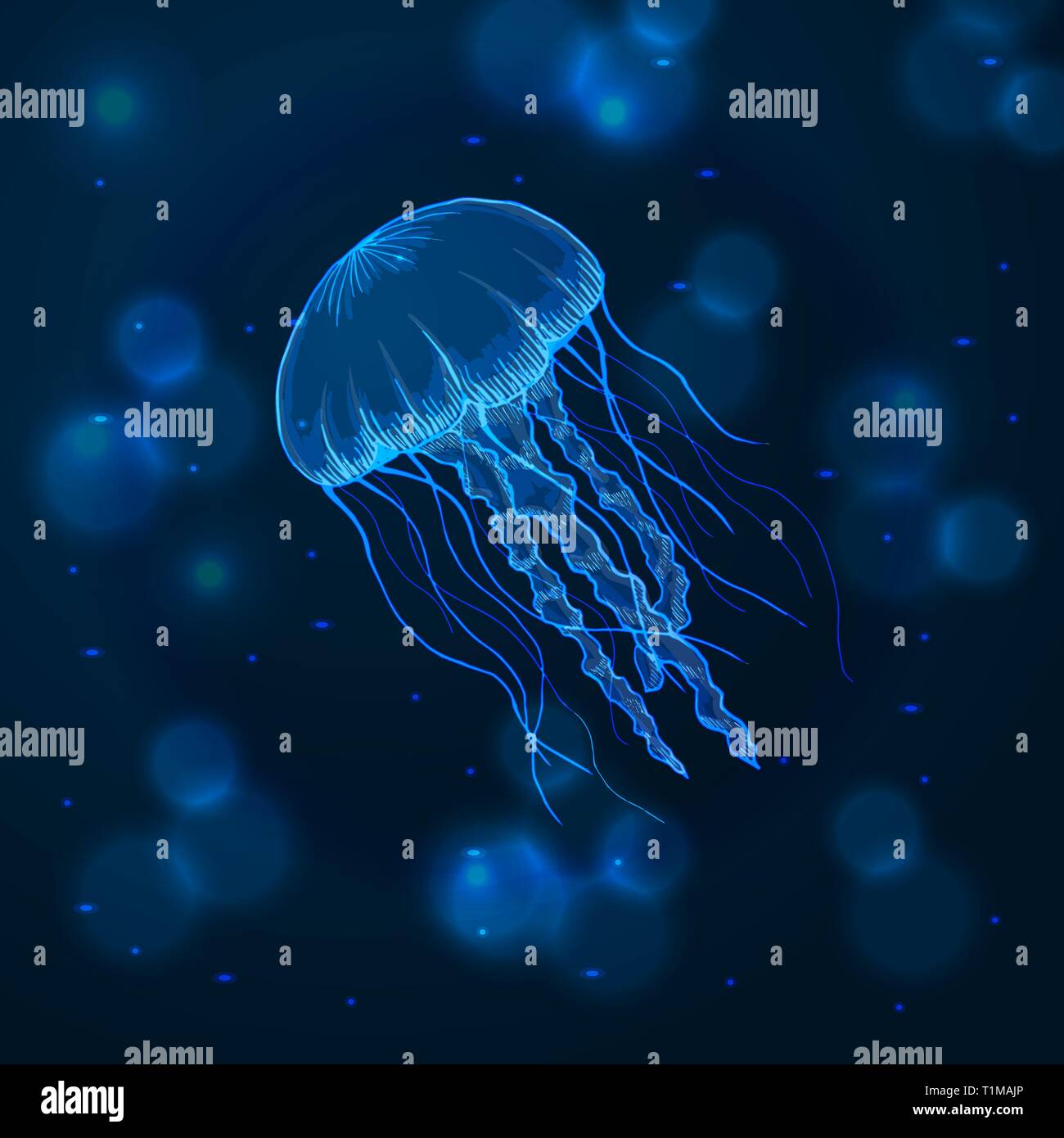 Hand gezeichnete Skizze isolierte Qualle, Meerestiere Stock ...