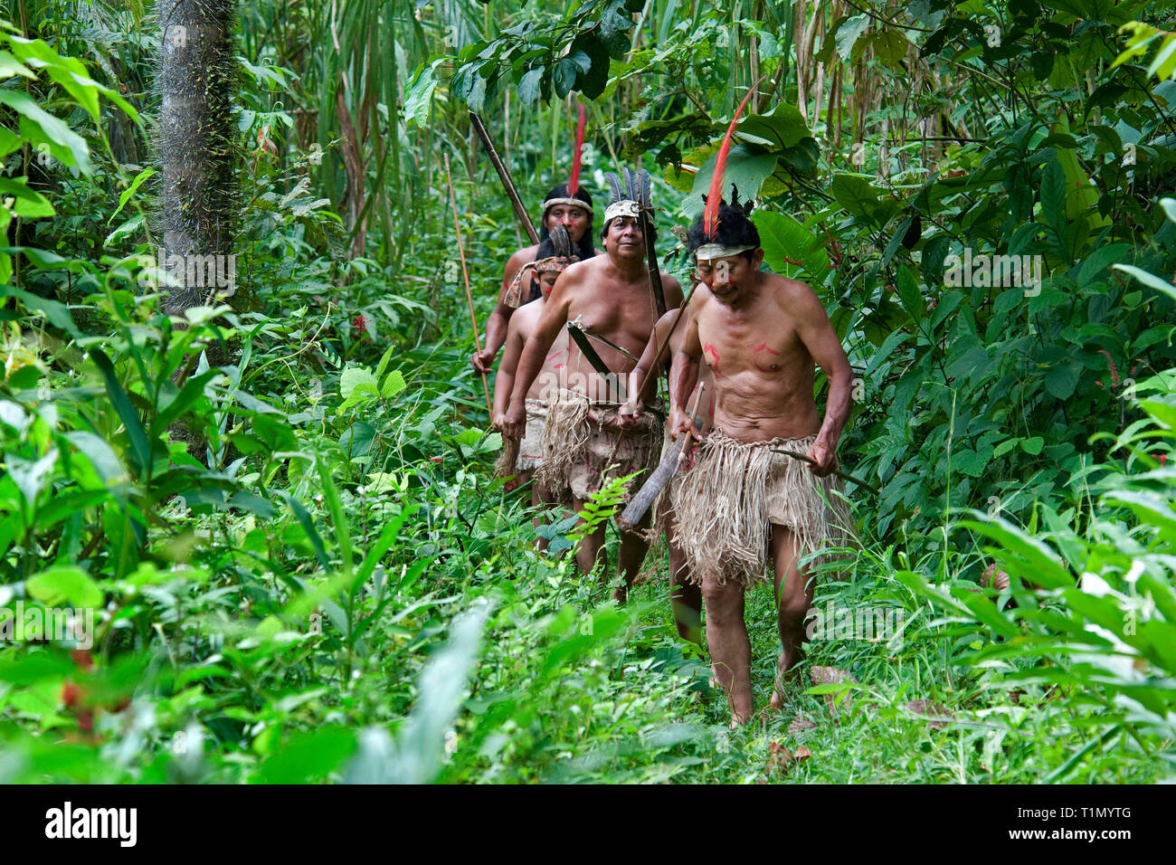 Maleku indianer -Fotos und -Bildmaterial in hoher Auflösung – Alamy
