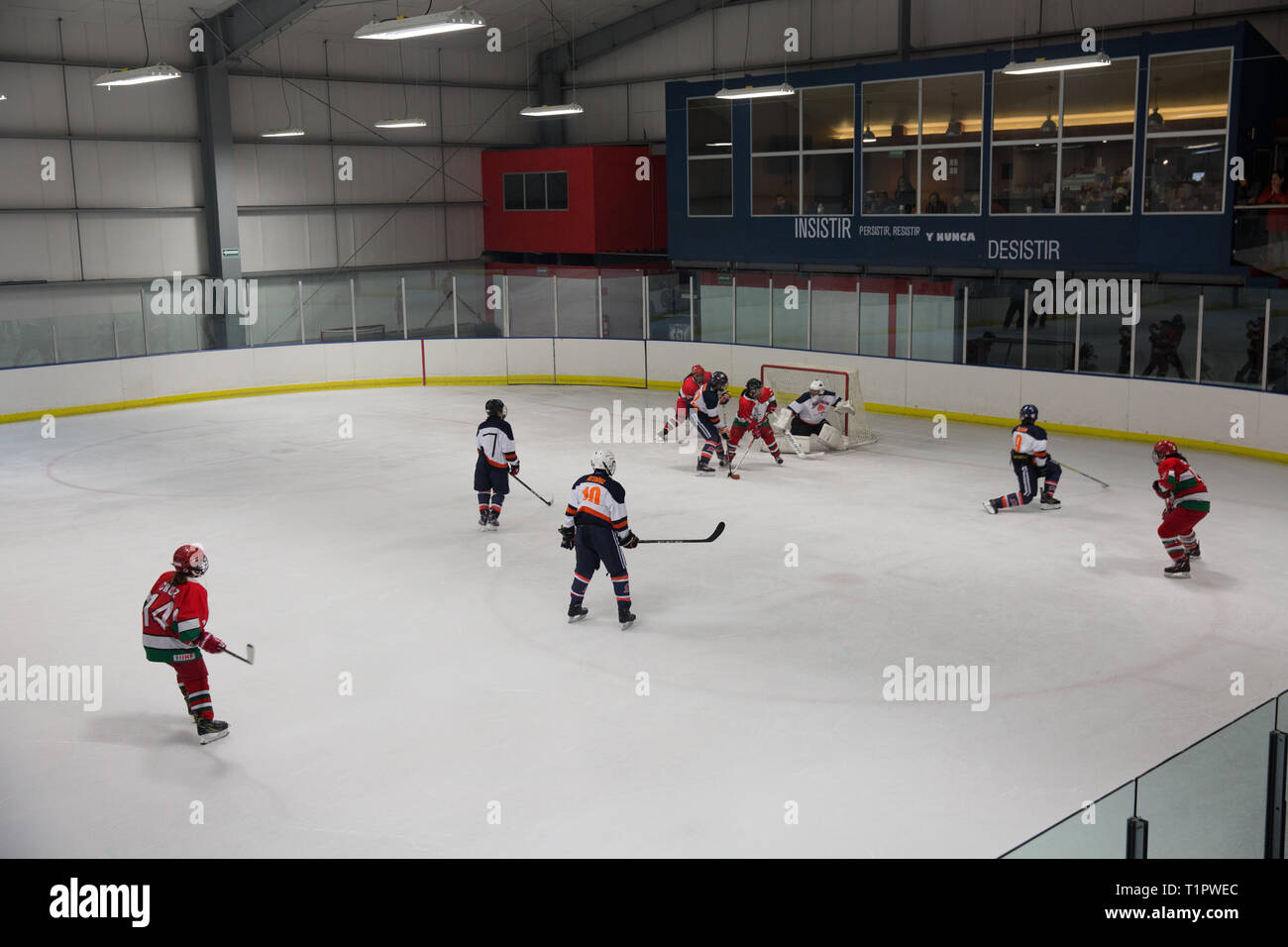 Die Selección femenil de México de hockey sobre hielo, spielt gegen die ...