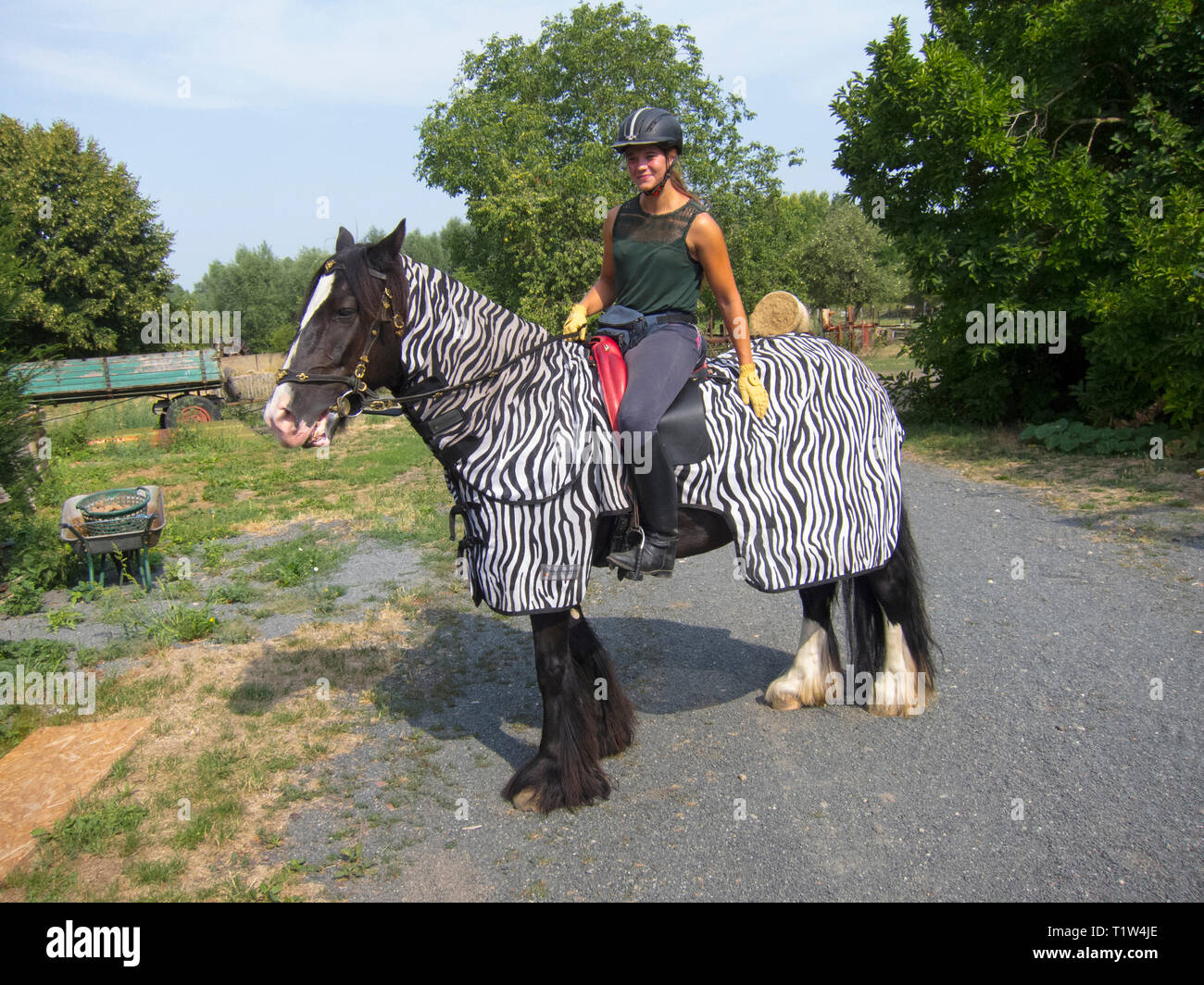 Reiter reitet pferd -Fotos und -Bildmaterial in hoher Auflösung – Alamy