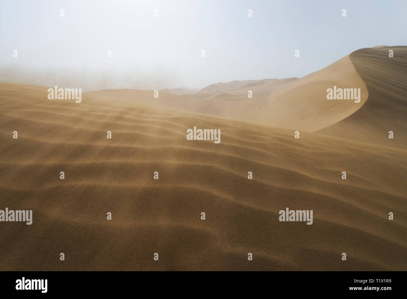 China extreme hitze -Fotos und -Bildmaterial in hoher Auflösung – Alamy