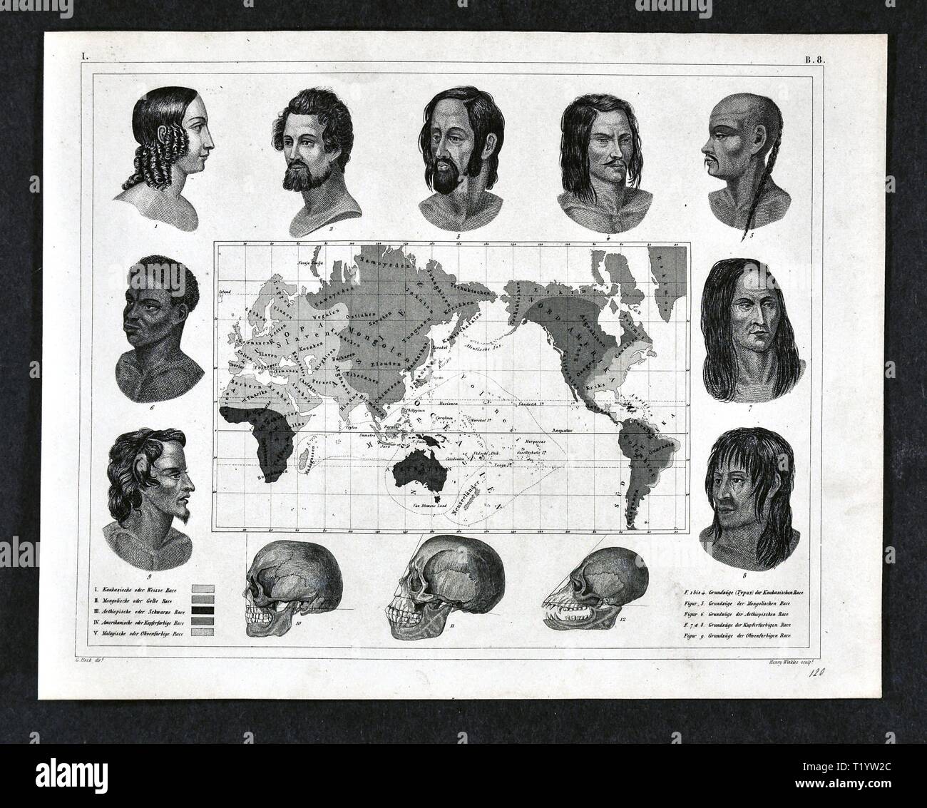 Biologie kultur -Fotos und -Bildmaterial in hoher Auflösung – Alamy