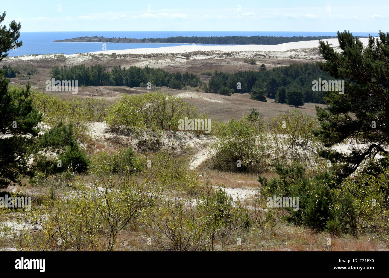 Dune of nidden -Fotos und -Bildmaterial in hoher Auflösung – Alamy