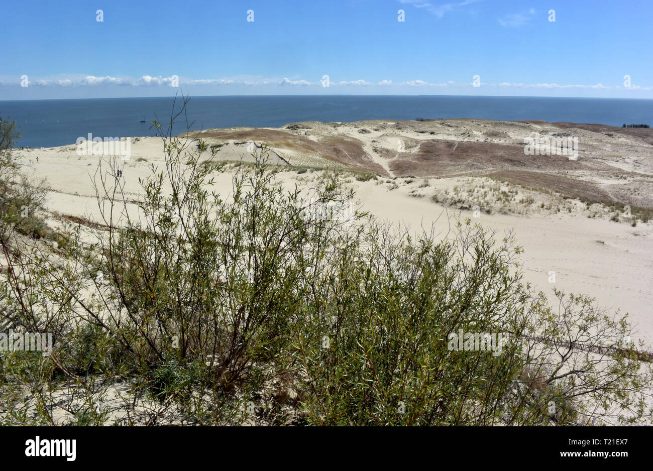 Dune of nidden -Fotos und -Bildmaterial in hoher Auflösung – Alamy