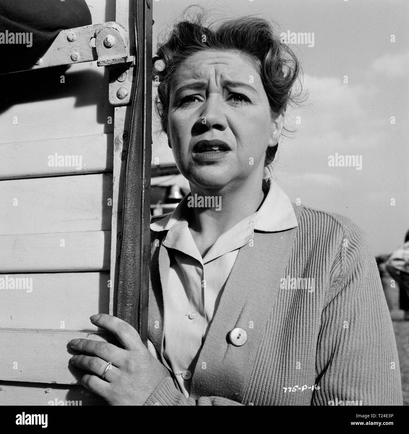 Megs jenkins -Fotos und -Bildmaterial in hoher Auflösung – Alamy