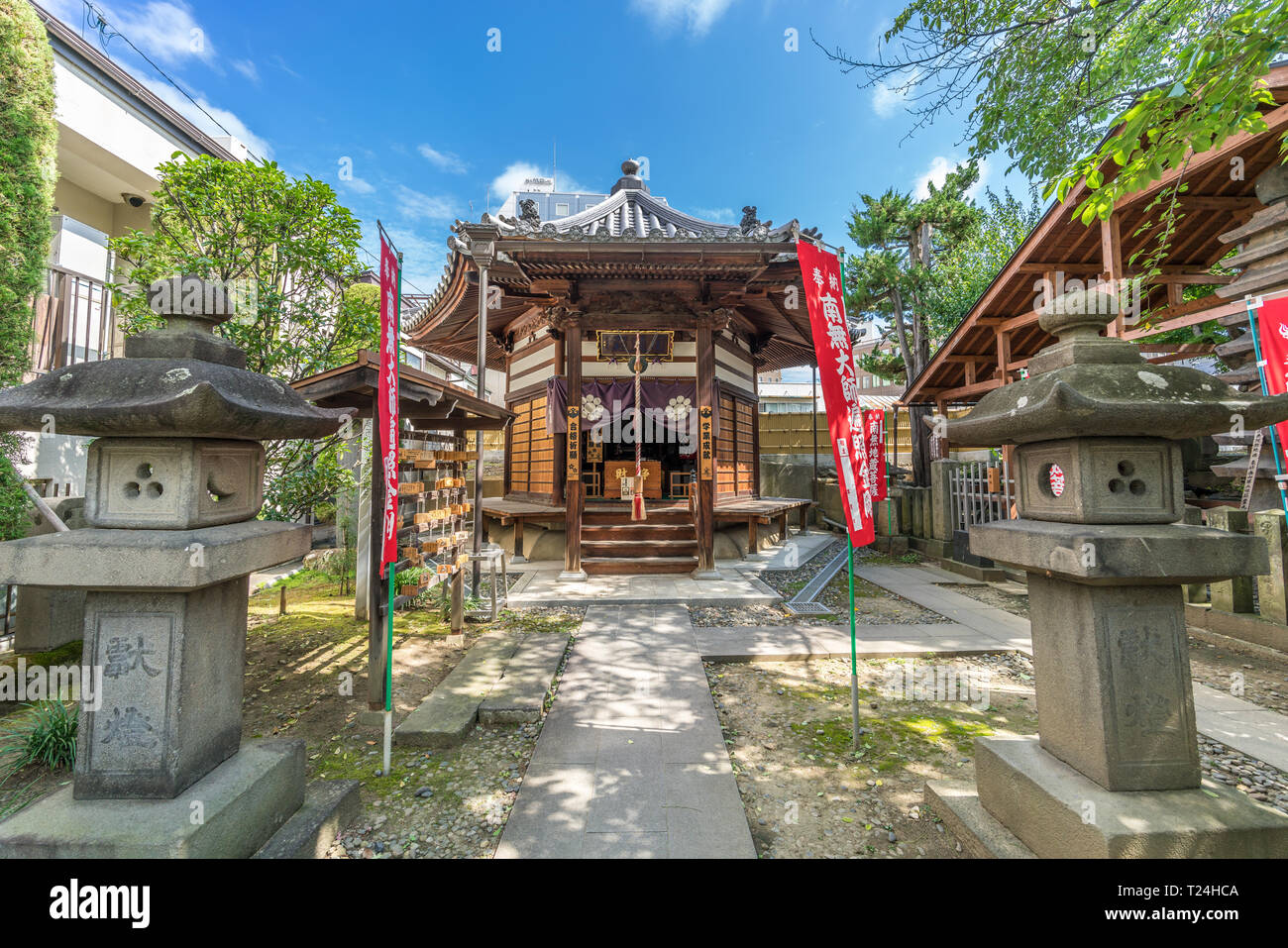 Honden haiden -Fotos und -Bildmaterial in hoher Auflösung – Alamy