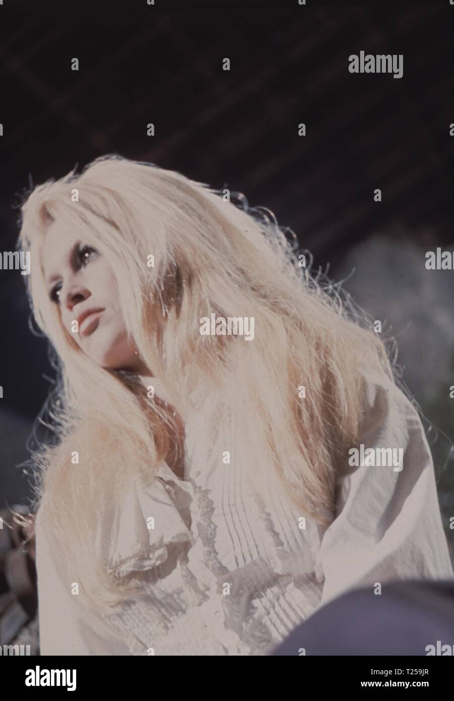Der Bardot Fotos Und Bildmaterial In Hoher Auflösung Alamy