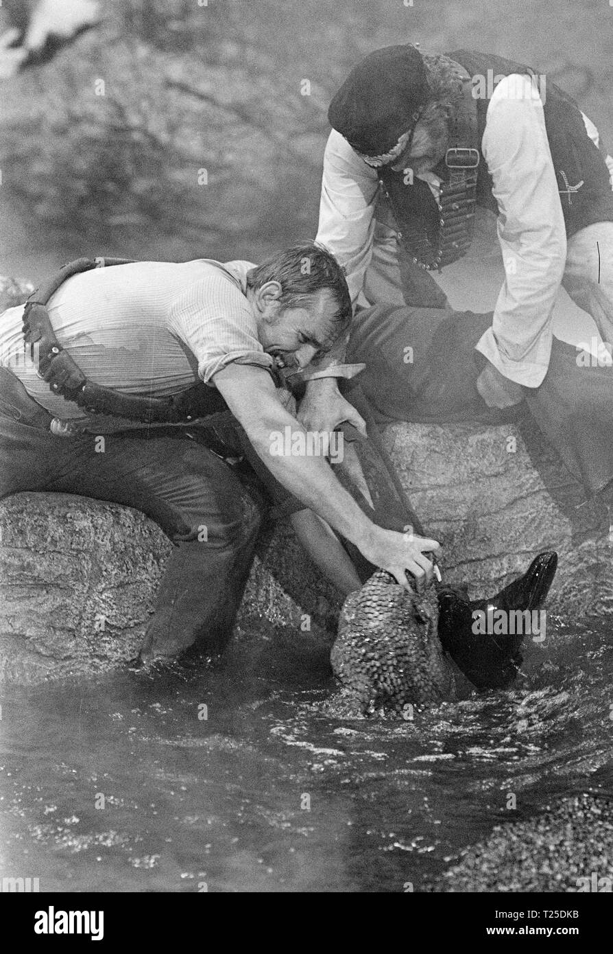 Hal galili -Fotos und -Bildmaterial in hoher Auflösung – Alamy