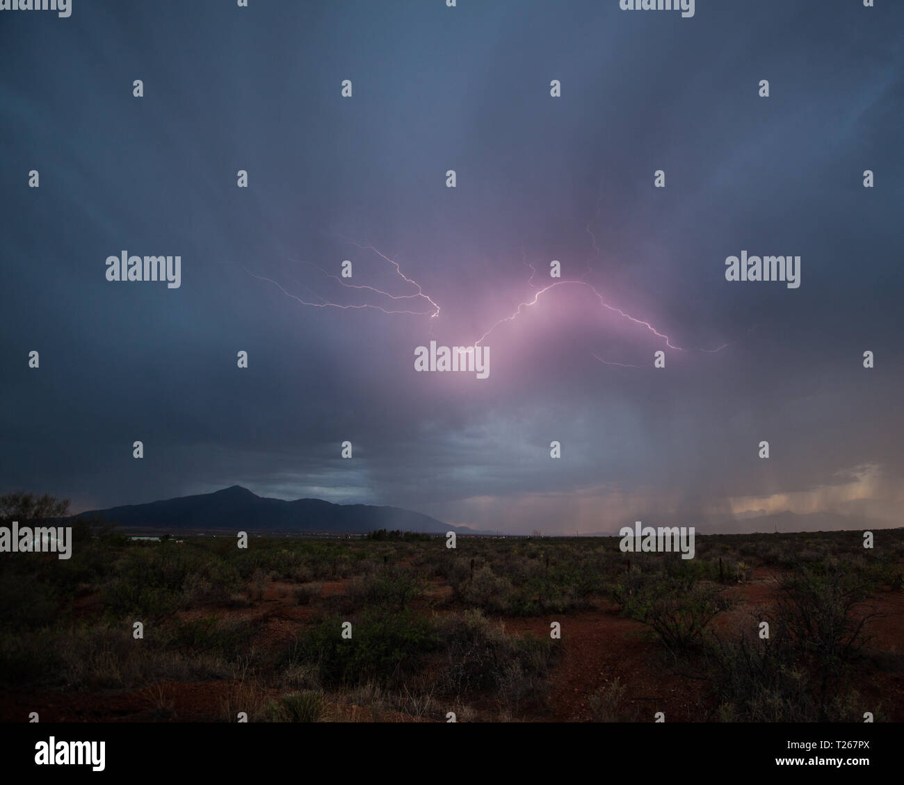 Cochise county -Fotos und -Bildmaterial in hoher Auflösung – Alamy