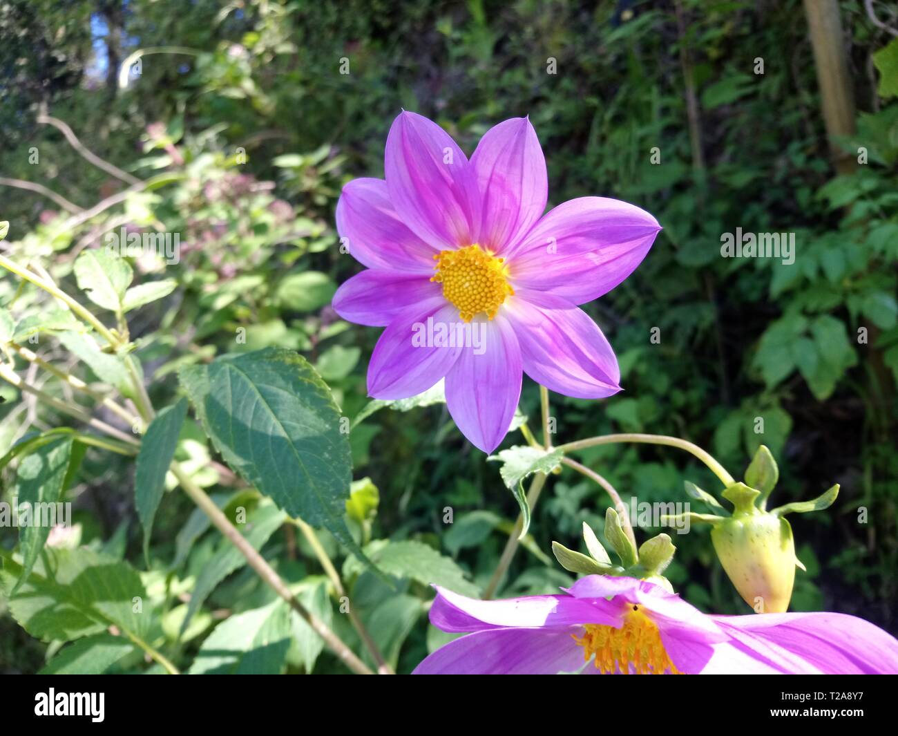 Paisajes de rio paisajes de rio -Fotos und -Bildmaterial in hoher ...