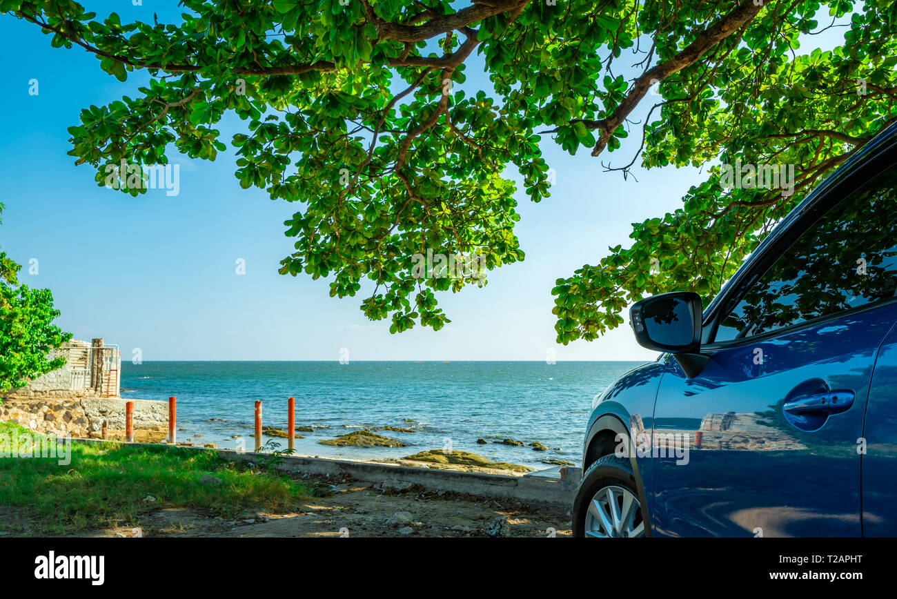 Blau Sport-SUV Auto durch das tropische Meer unter dem Dach Baum ...