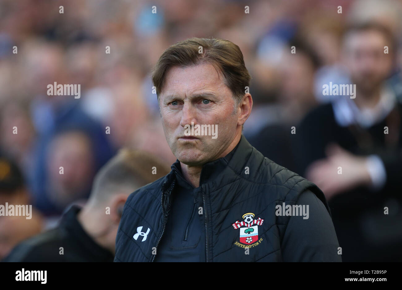 Southampton football club stadion -Fotos und -Bildmaterial in hoher ...