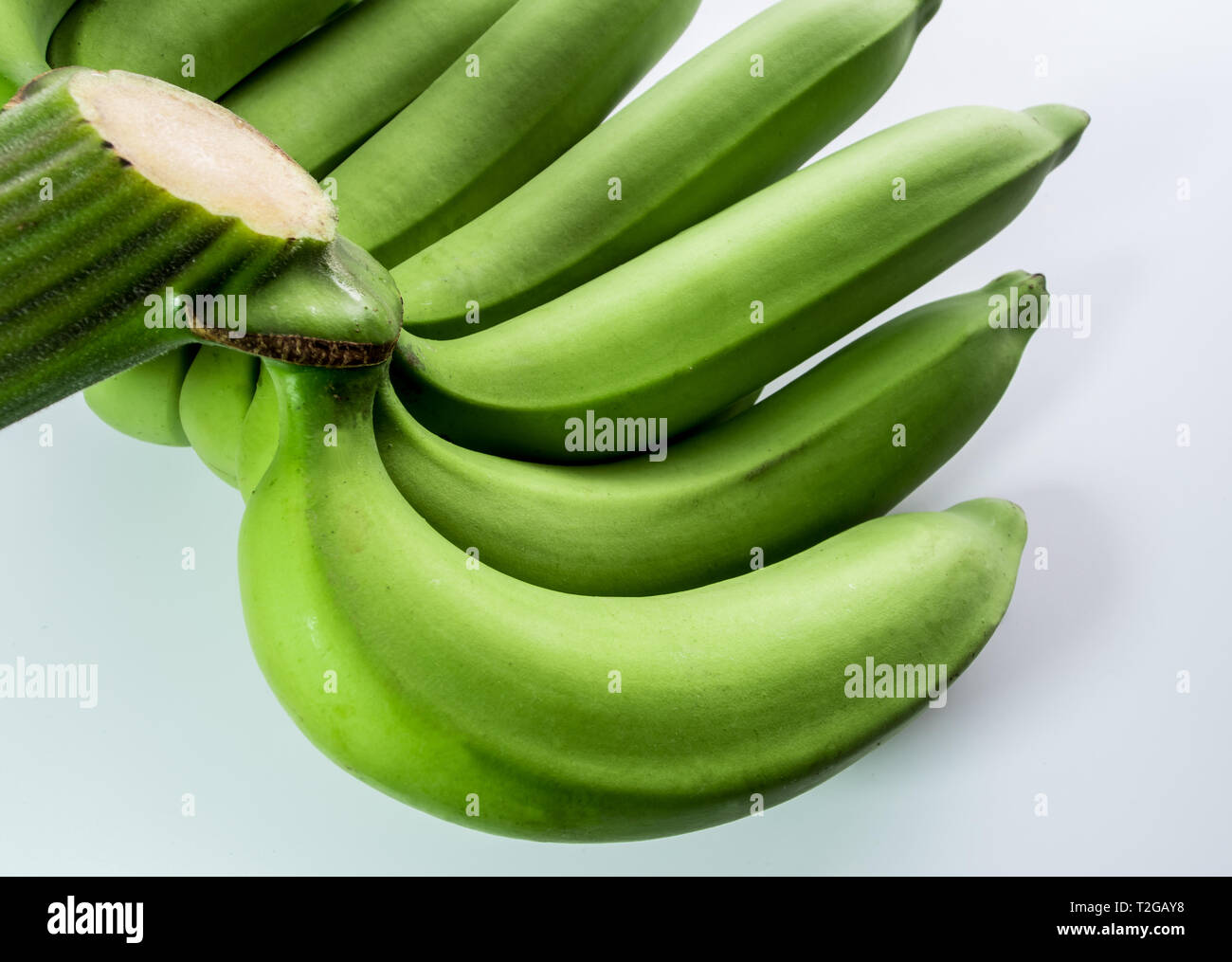 Cavendish Banane Stockfotos und -bilder Kaufen - Alamy