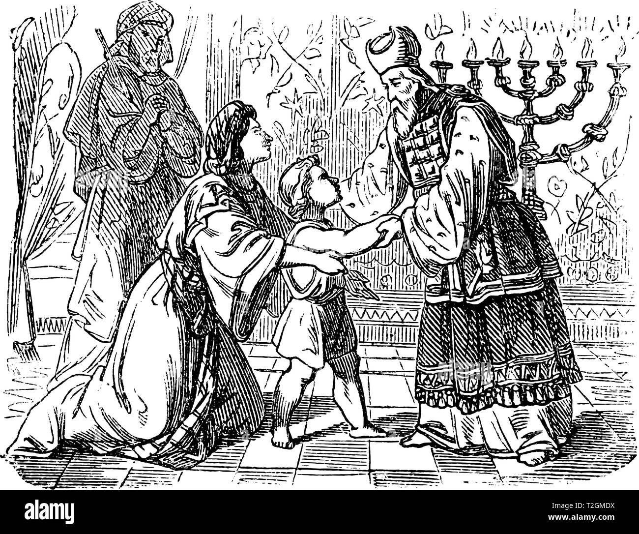 Hannah vektor vektoren -Fotos und -Bildmaterial in hoher Auflösung – Alamy