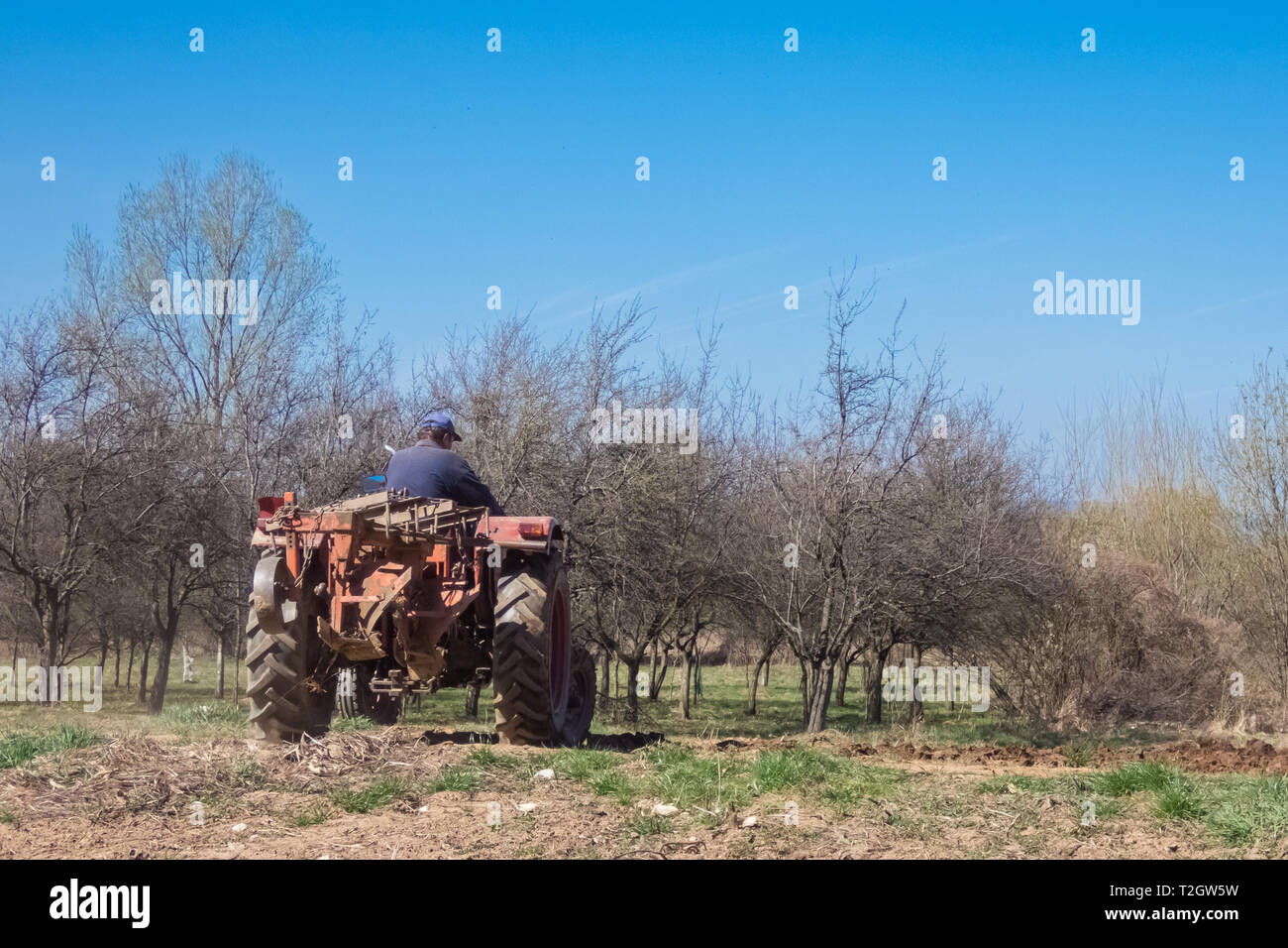 Schwere landwirtschaftliche arbeit -Fotos und -Bildmaterial in hoher ...