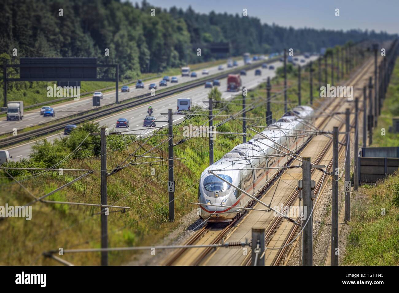 Eis an der Autobahn A9, high-speed line Nuremberg-Munich, Bayern ...