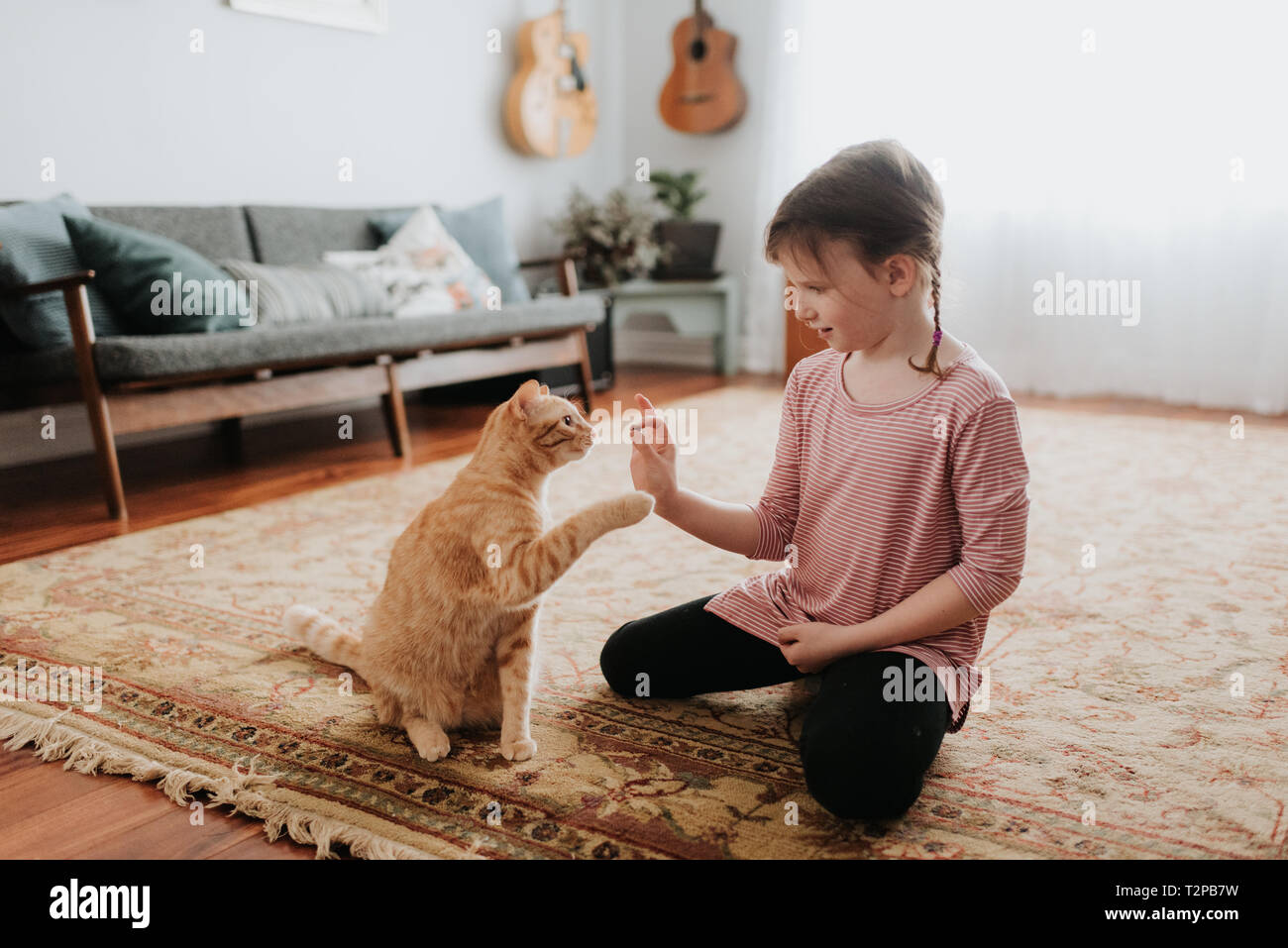 Mädchen spielt mit katze -Fotos und -Bildmaterial in hoher Auflösung ...