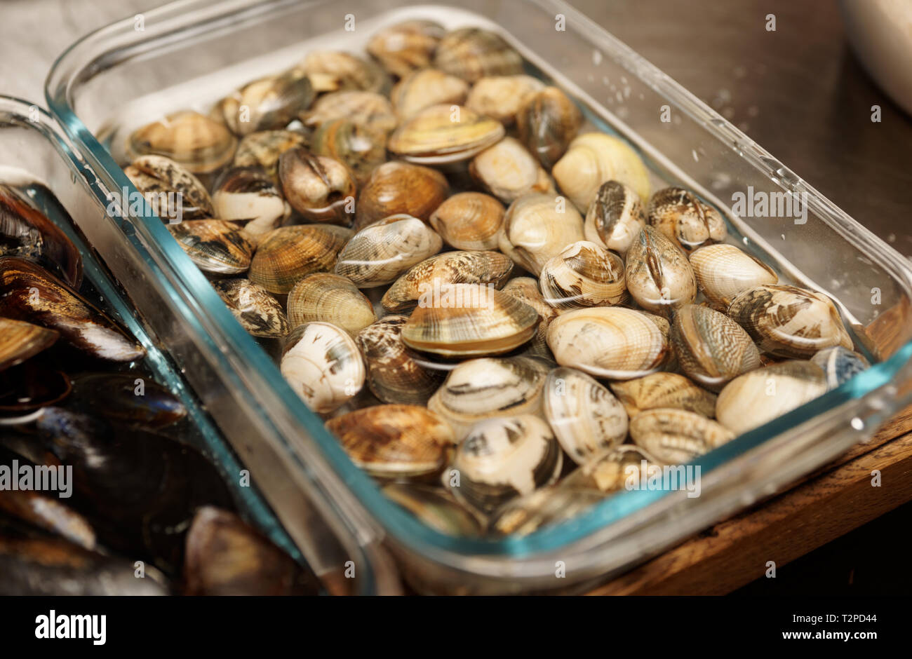 Zweischalige muscheln -Fotos und -Bildmaterial in hoher Auflösung – Alamy