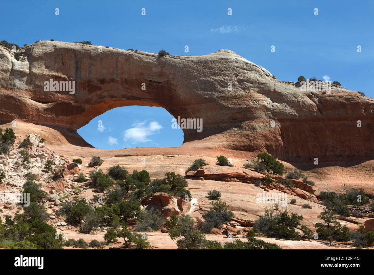 Wilson bogen -Fotos und -Bildmaterial in hoher Auflösung – Alamy