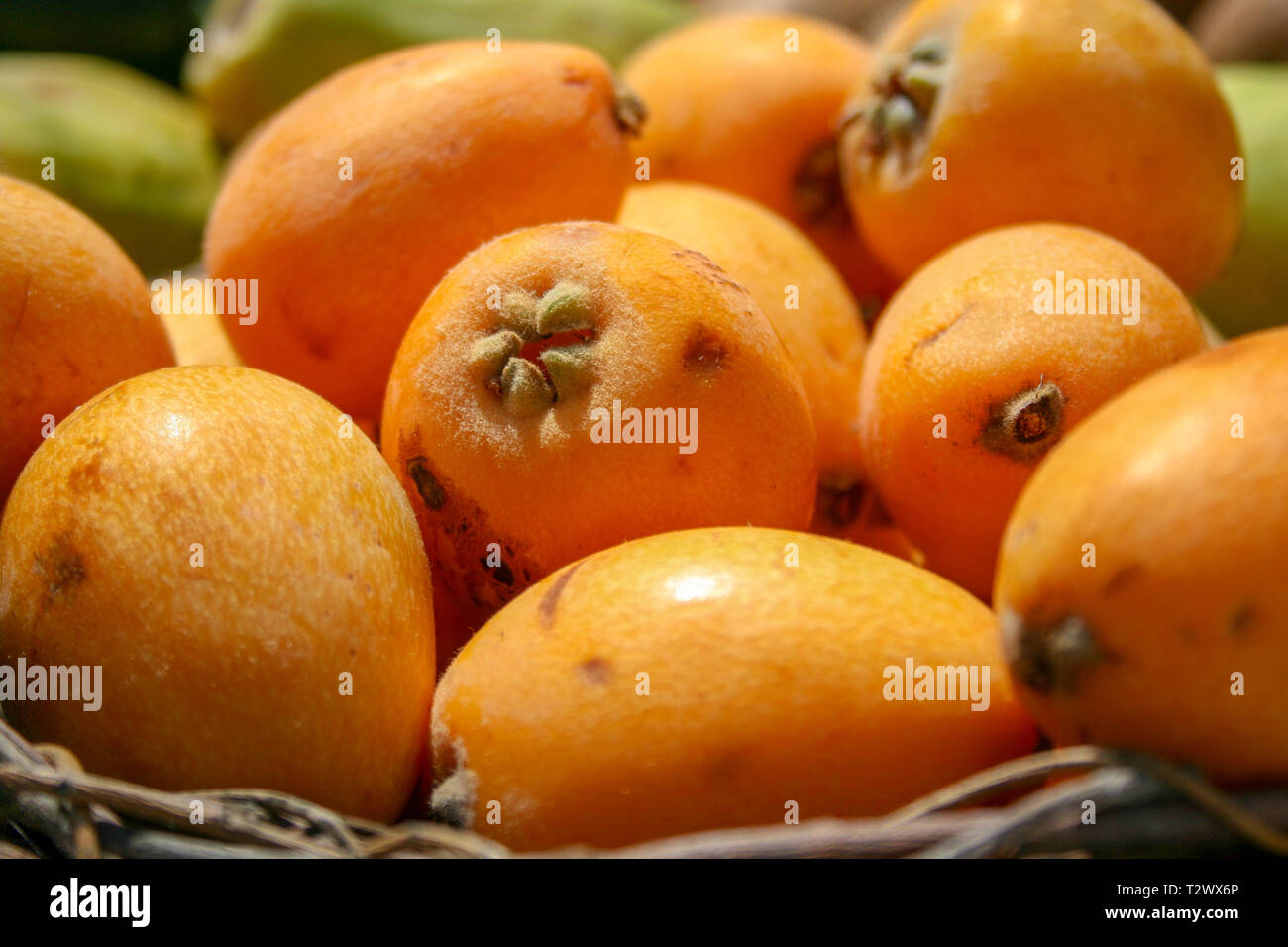 Mispel frisch -Fotos und -Bildmaterial in hoher Auflösung – Alamy