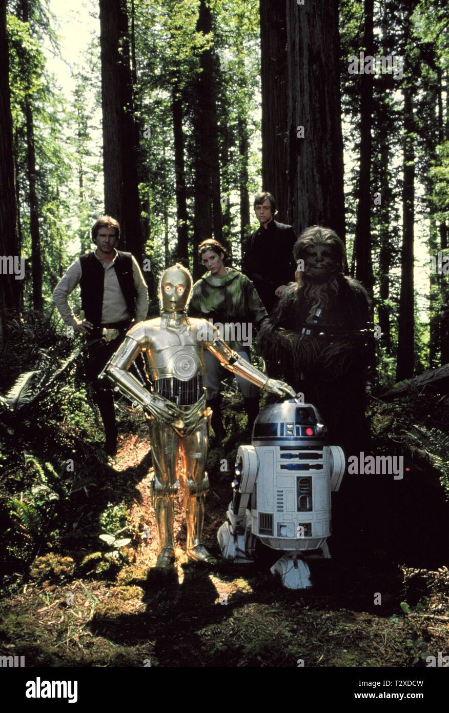 HARRISON Ford, Anthony Daniels, Carrie Fisher, Mark Hamill, Kenny Baker ...
