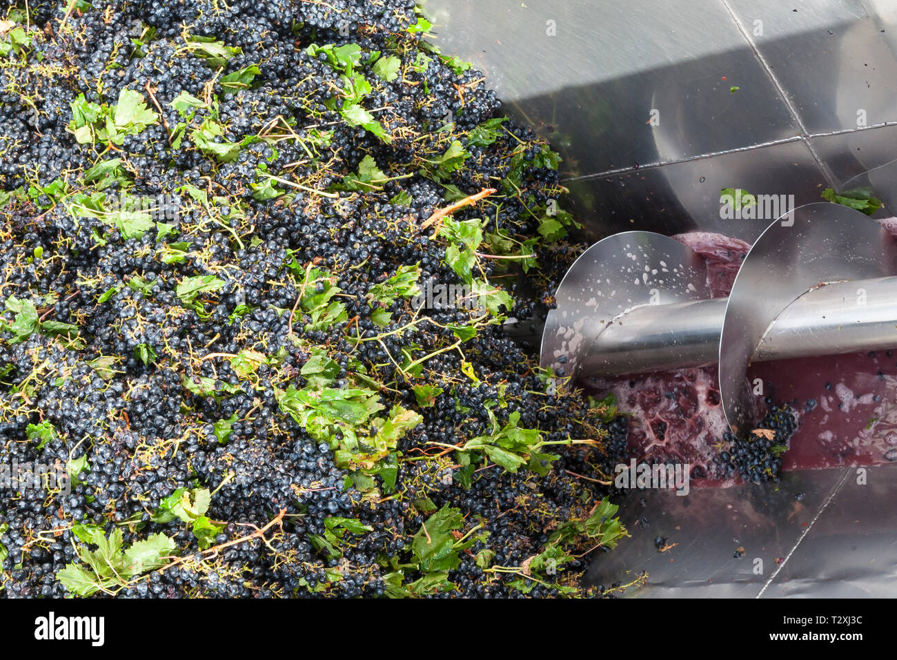 Mechanische traubenpresse -Fotos und -Bildmaterial in hoher Auflösung ...