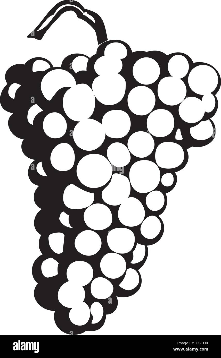 Abbildung der trauben -Fotos und -Bildmaterial in hoher Auflösung – Alamy
